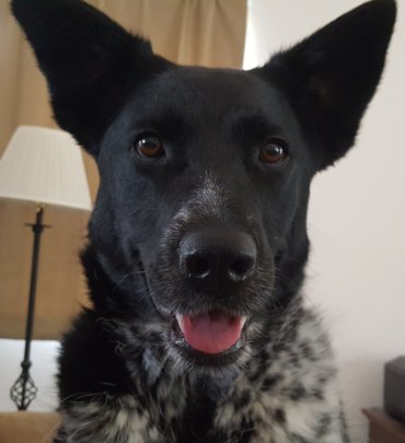 About Us – Perfect Balance Bookkeeping Solutions, LLC